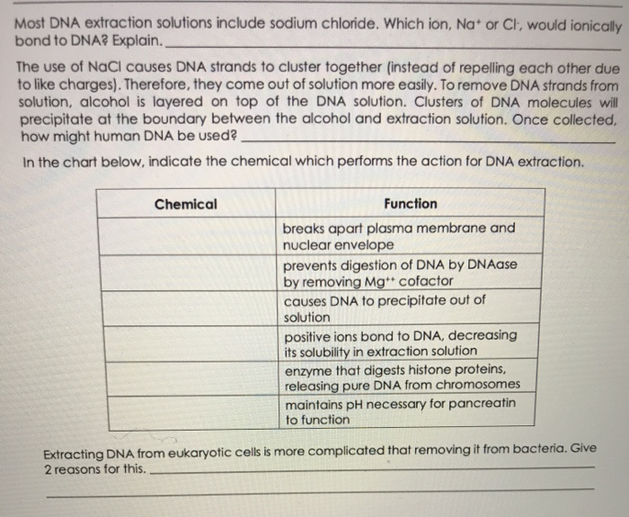 Solved Most DNA extraction solutions include sodium | Chegg.com