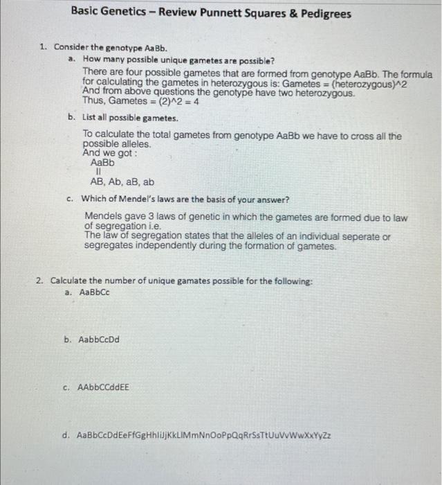 Solved Basic Genetics - Review Punnett Squares \& Pedigrees | Chegg.com