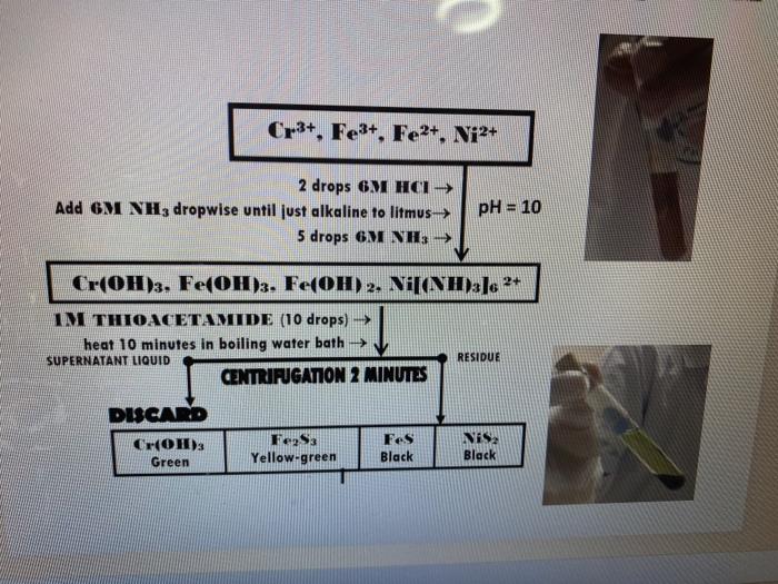 Solved Cr3+, Fe3+, Fe2+, Ni2+ 2 drops GM HCI- Add GM NH3 | Chegg.com