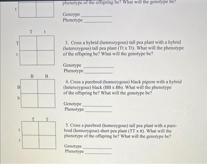 Solved 1. Cross a purebred (homozygous) short pea plant with | Chegg.com