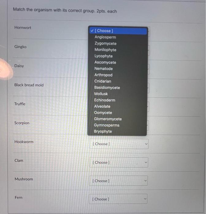 Solved Match the organism with its correct group. 2pts. each | Chegg.com