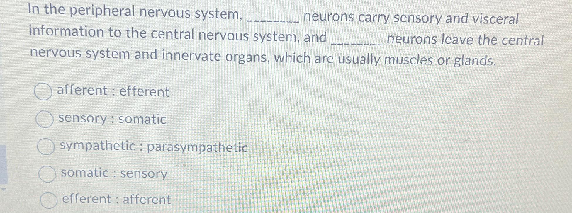 Solved In the peripheral nervous system, neurons carry | Chegg.com