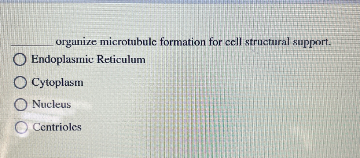 Solved q, ﻿organize microtubule formation for cell | Chegg.com