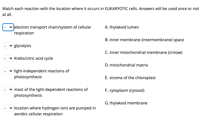 Solved Match each reaction with the location where it occurs | Chegg.com