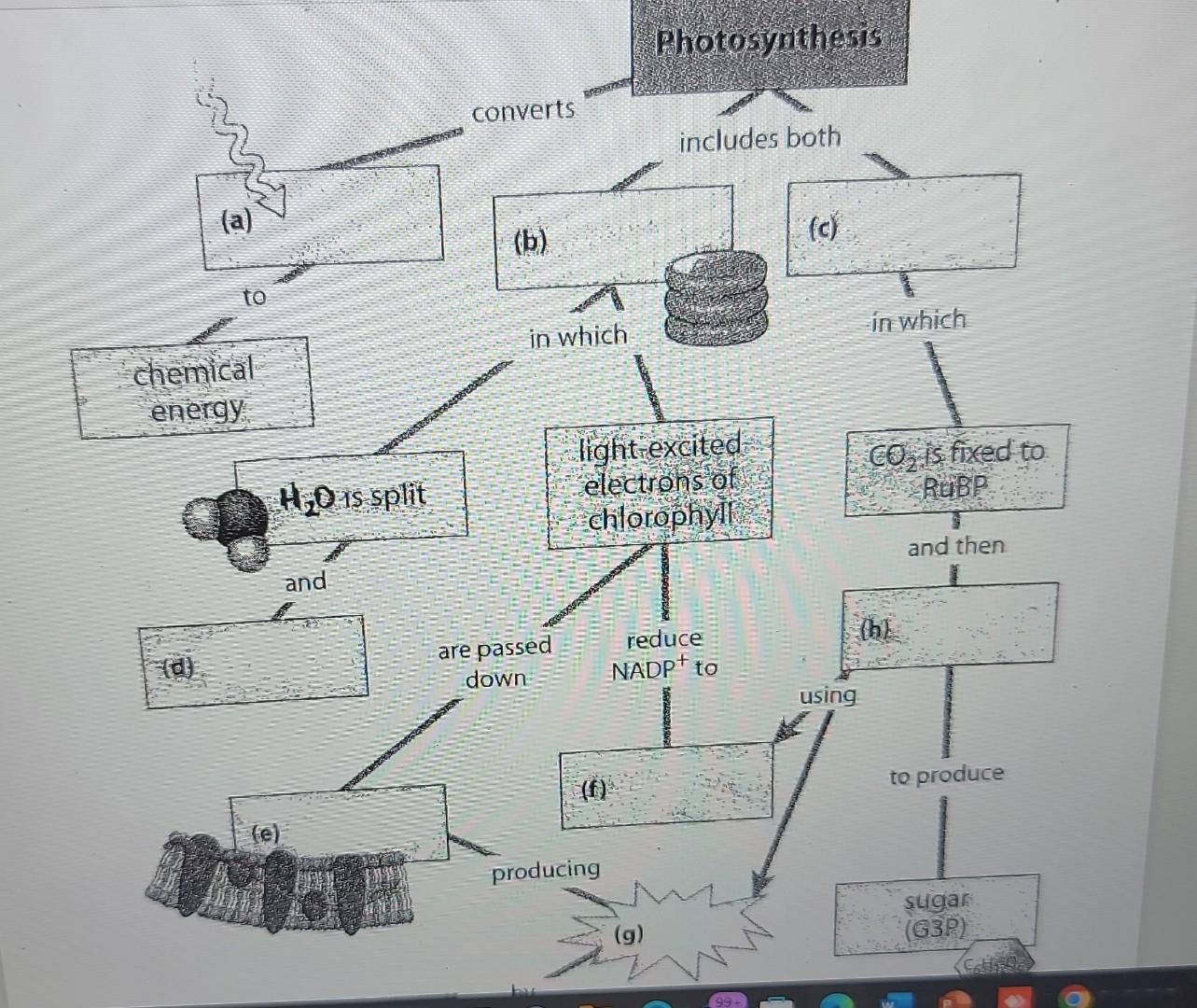 Solved in which chemical energy | Chegg.com