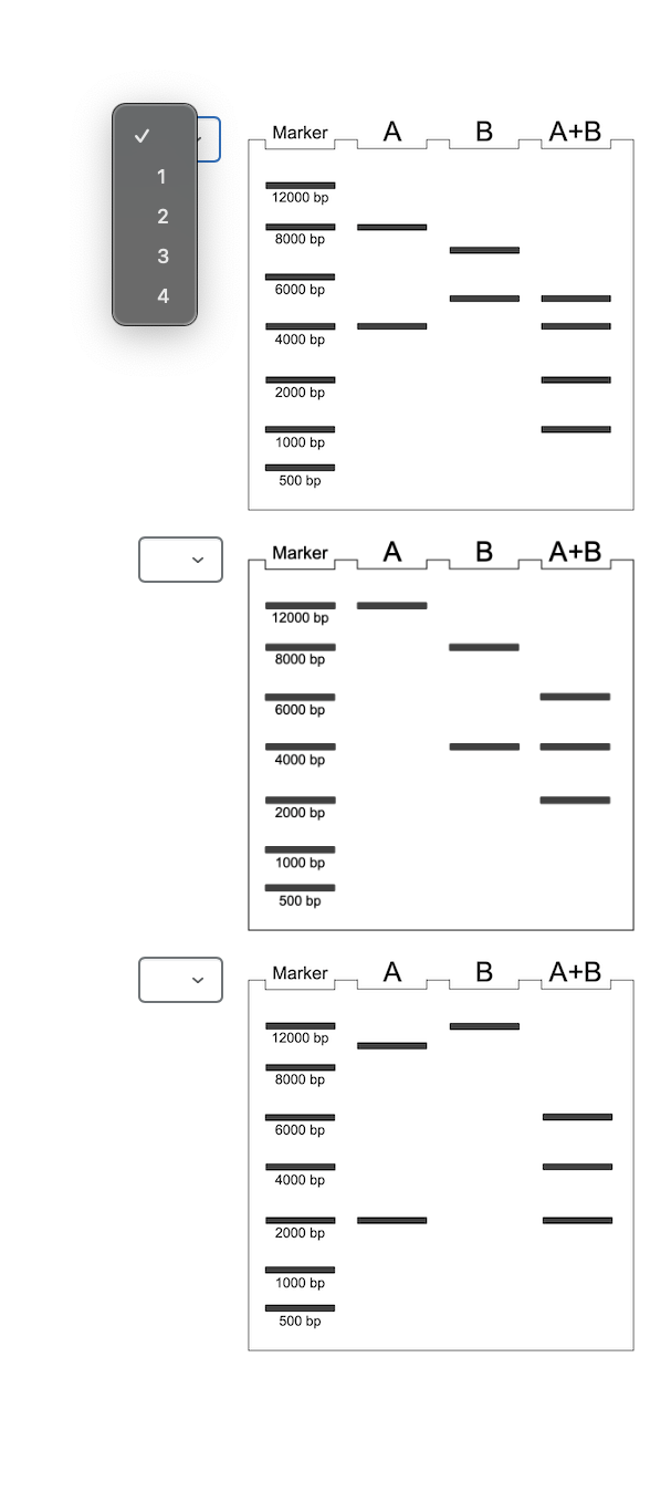 Solved Question 1 3 Points Match The Correct Dna Vector 0110