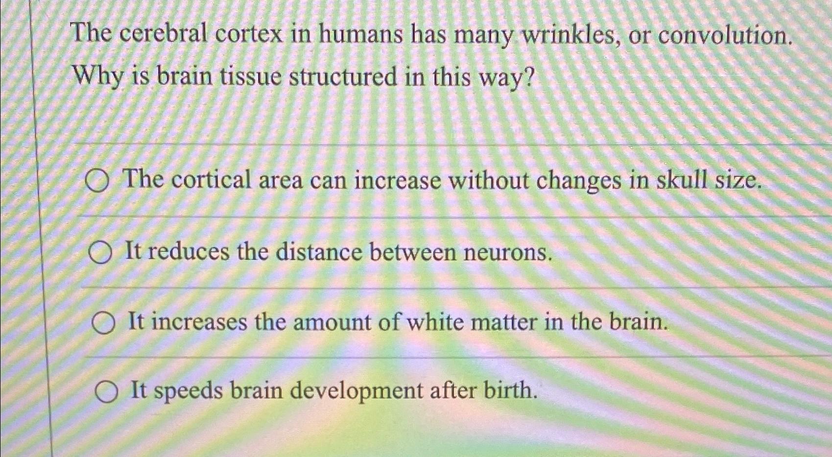 Solved The cerebral cortex in humans has many wrinkles, or | Chegg.com