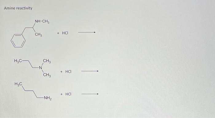 Solved Amine reactivity +HCl | Chegg.com