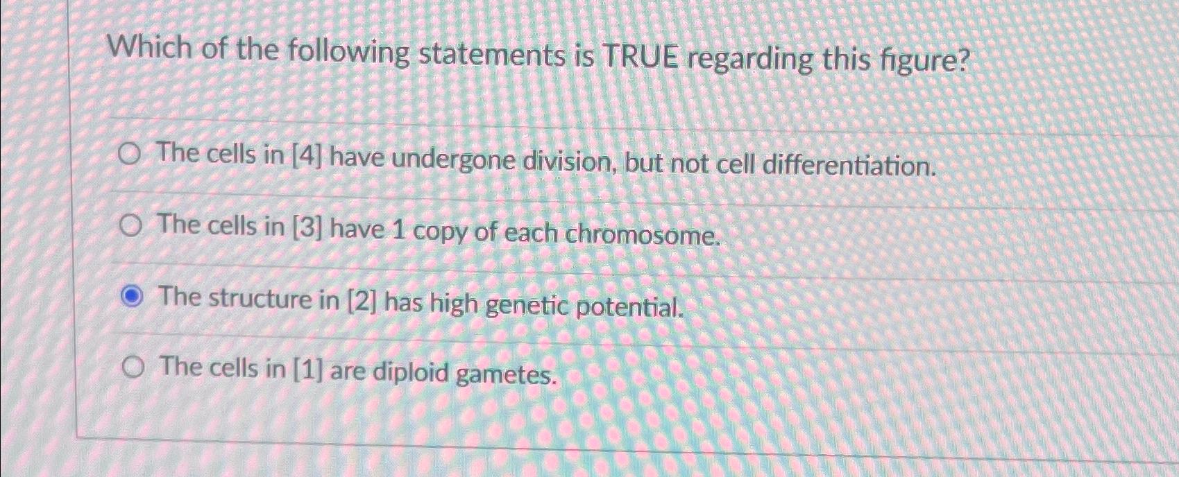 Solved Which of the following statements is TRUE regarding | Chegg.com