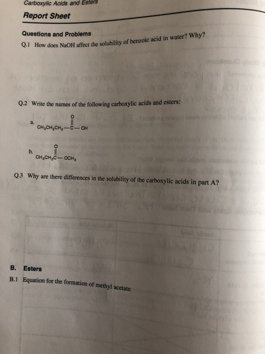 Solved Carboxylic Acids and Esters Report Sheet Questions | Chegg.com