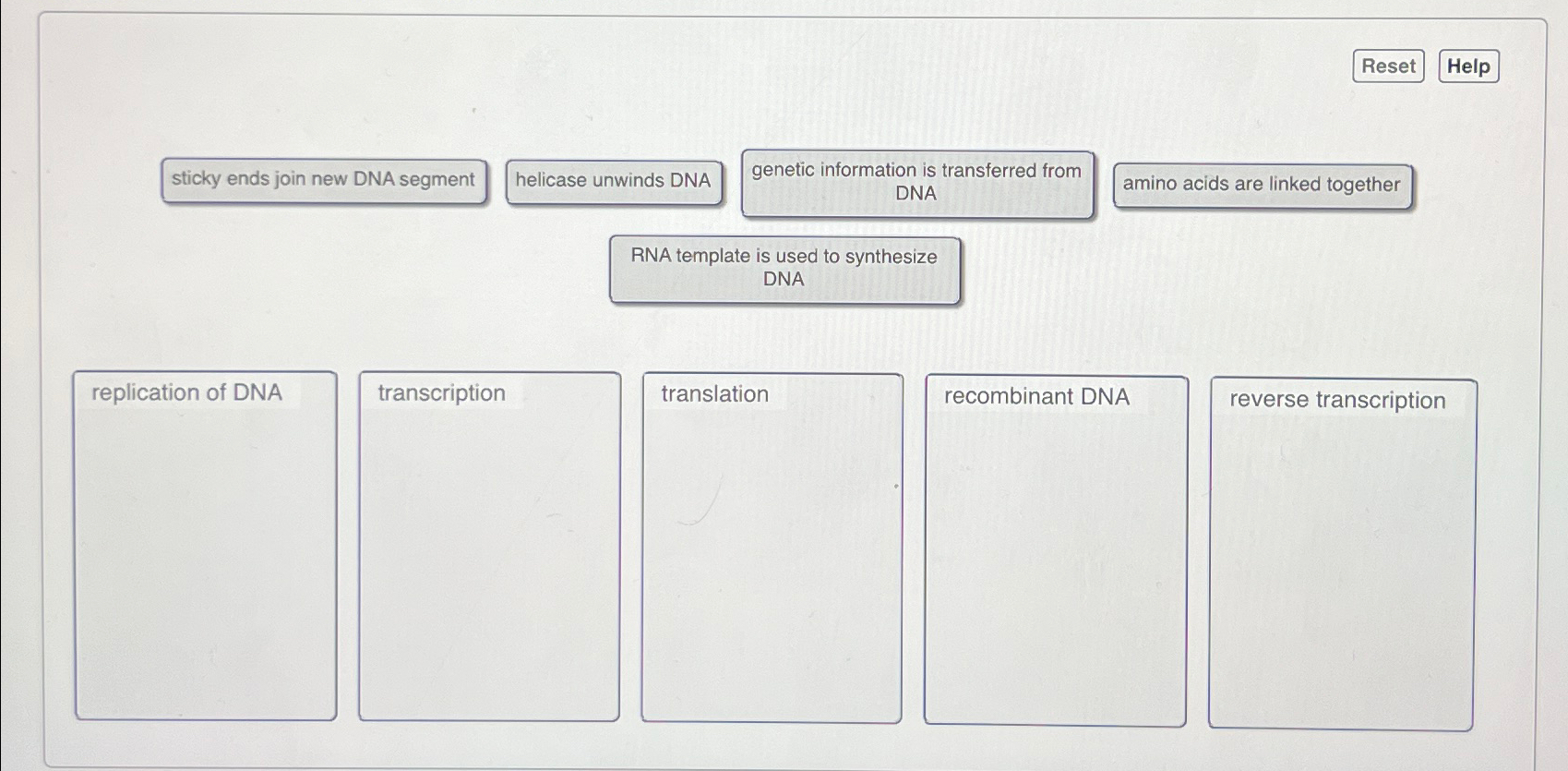 Solved sticky ends join new DNA segment replication of | Chegg.com