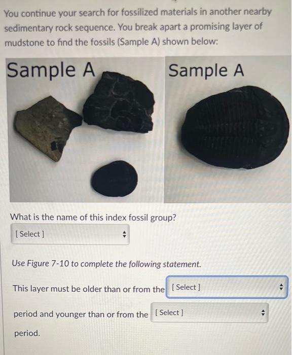 Solved You continue your search for fossilized materials in | Chegg.com