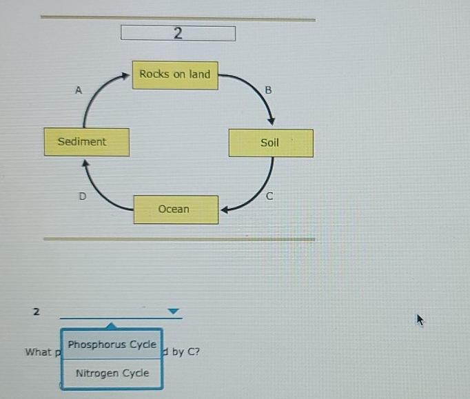 Solved 6. Nitrogen and phosphorus cycles Here are diagrams | Chegg.com