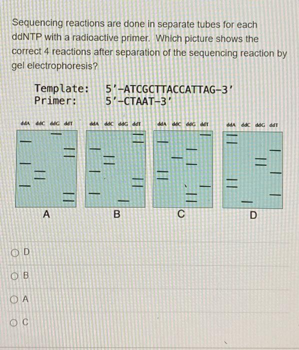 Solved Sequencing reactions are done in separate tubes for | Chegg.com