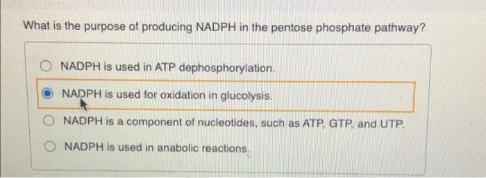 Solved What is the purpose of producing NADPH in the pentose | Chegg.com
