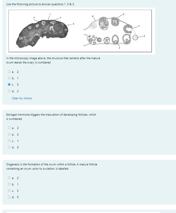 Solved Use the following picture to answer questions | Chegg.com