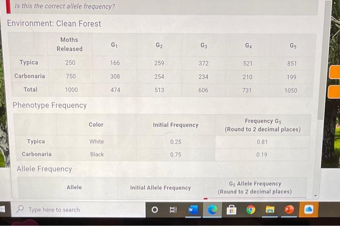 Solved Is this the correct allele frequency? Environment: | Chegg.com
