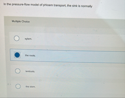 Solved In the pressure-flow model of phloem transport, the | Chegg.com