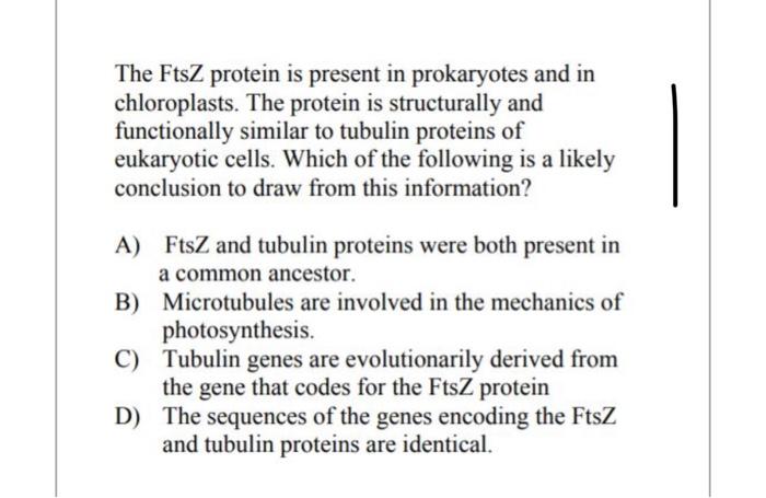 Solved The FtsZ protein is present in prokaryotes and in | Chegg.com