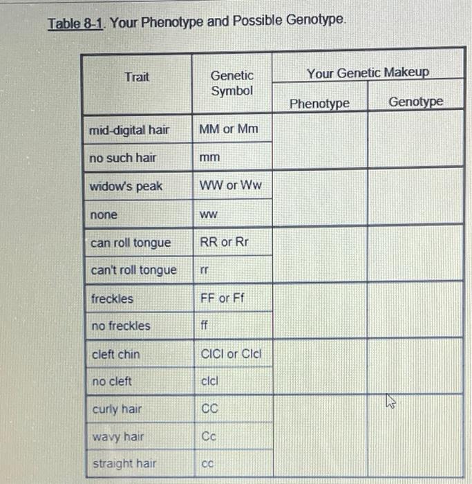 Solved Table 8-1. Your Phenotype and Possible Genotype. | Chegg.com