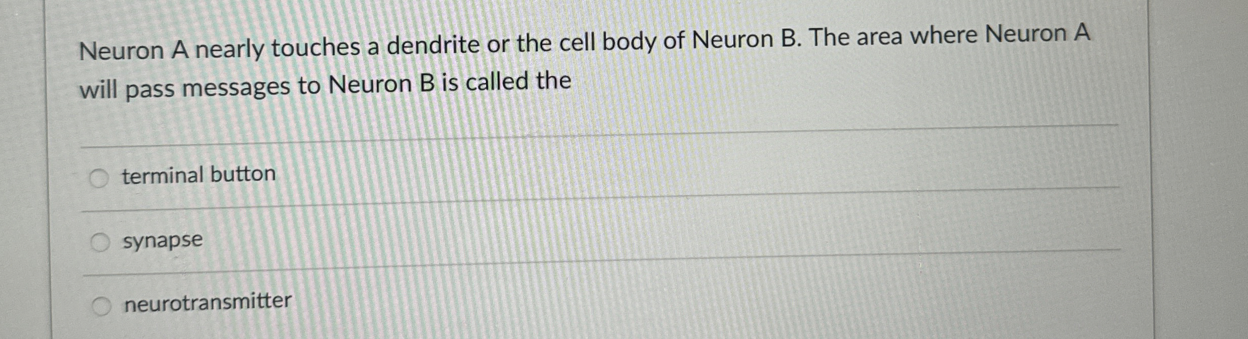 Solved Neuron A nearly touches a dendrite or the cell body | Chegg.com