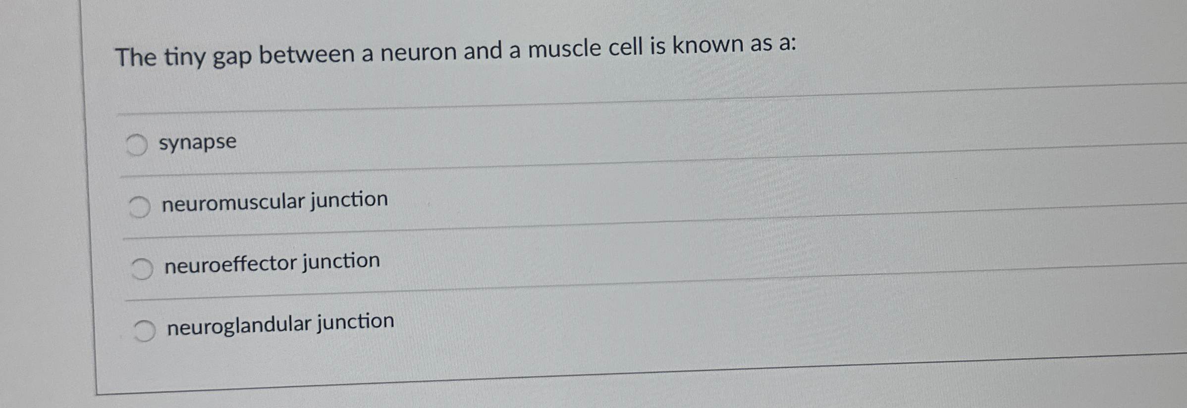 Solved The tiny gap between a neuron and a muscle cell is | Chegg.com