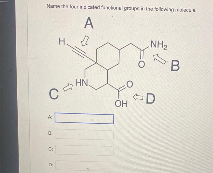Solved Name the four indicated functional groups in the | Chegg.com