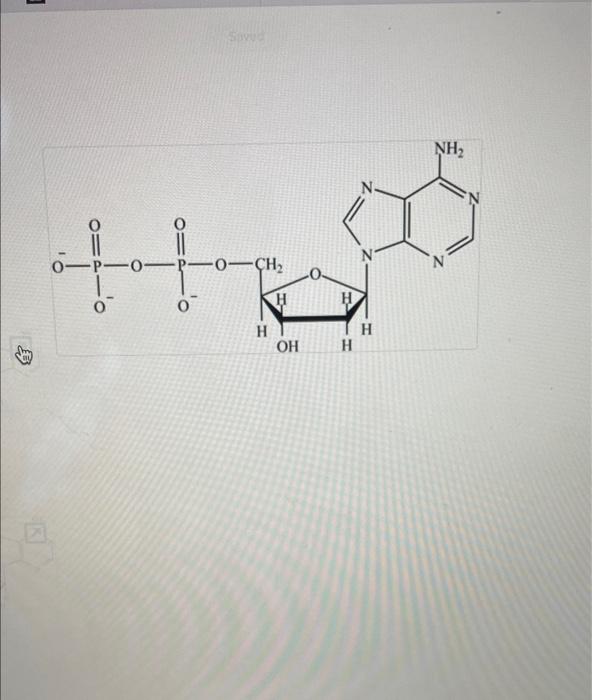 Solved Which is the structure of ATP? Multiple | Chegg.com