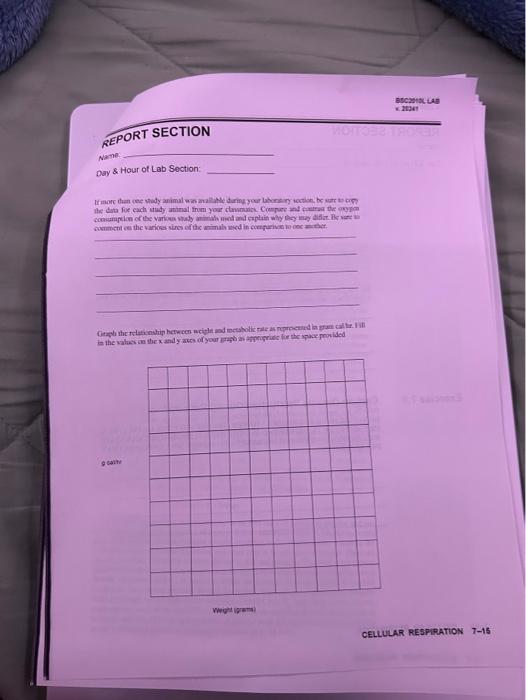 Solved REPORT SECTION Day \& Hour of Lab Section: wogt | Chegg.com