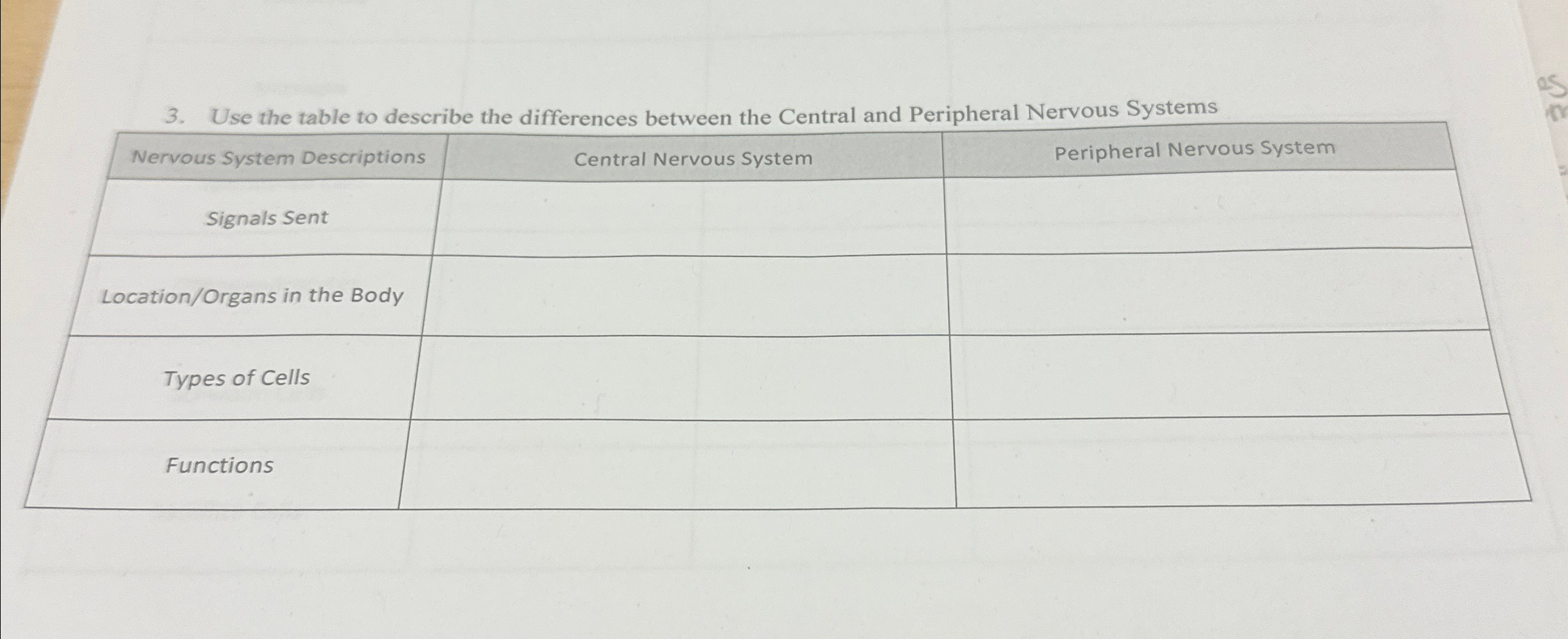 Solved Use the table to describe the differences between the | Chegg.com