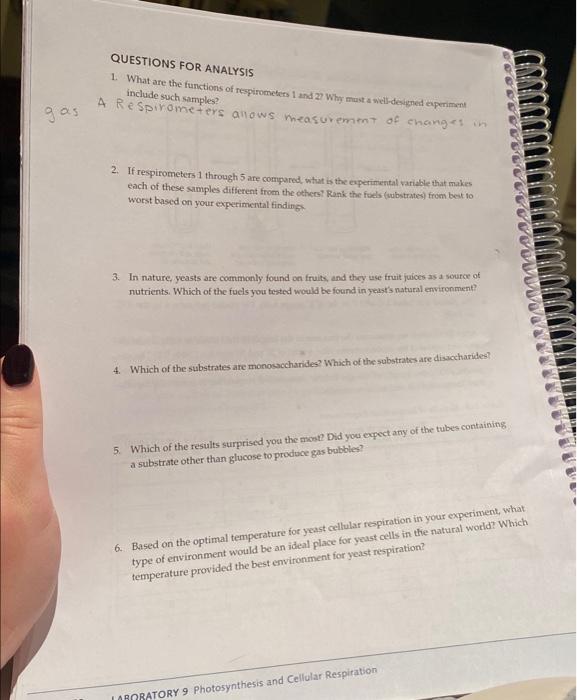 Solved INTRODUCTION Yeast cells efficiently use glucose as a | Chegg.com