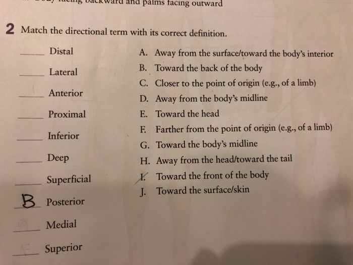 Solved and palms facing outward 2 Match the directional term | Chegg.com