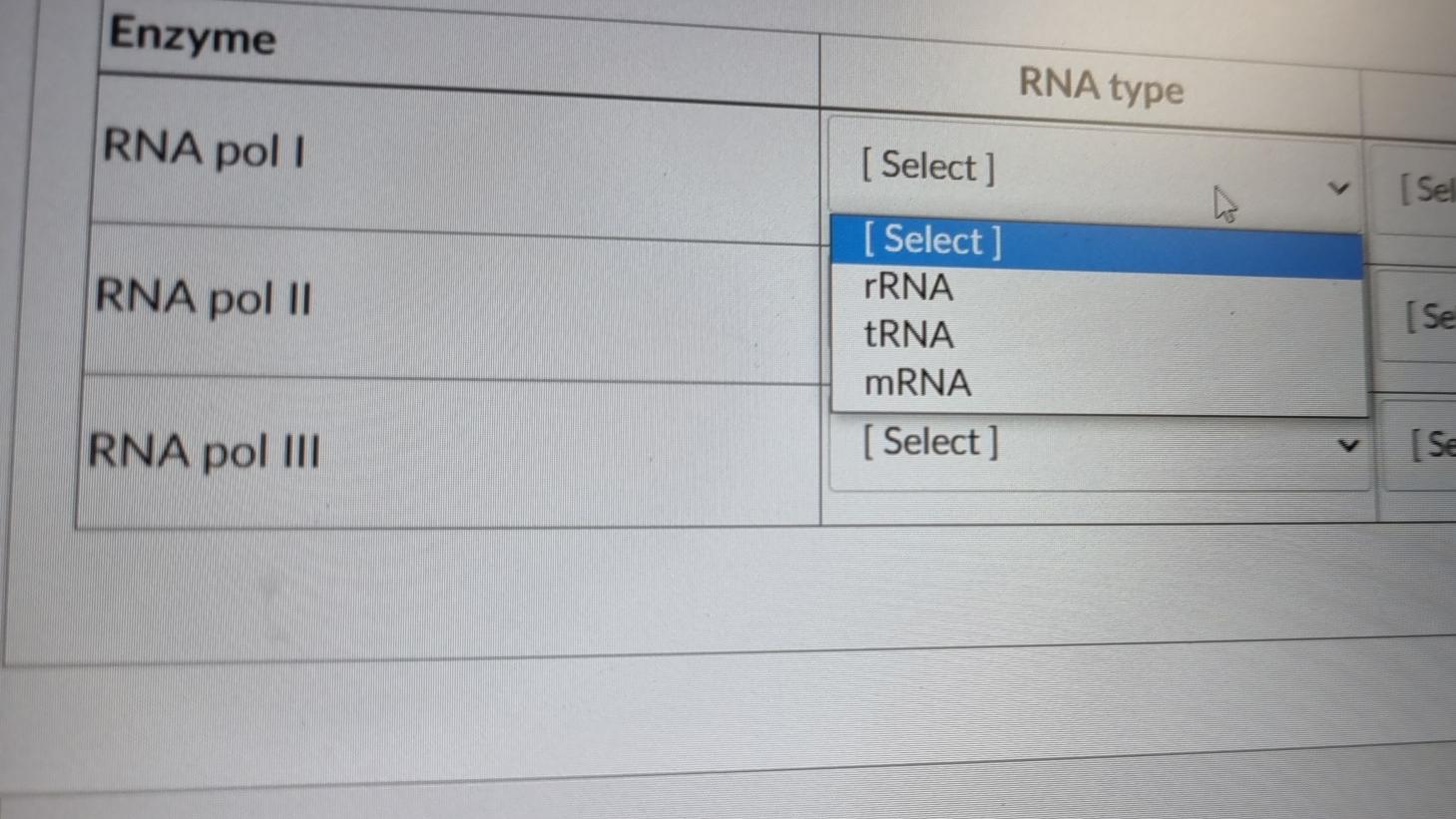 Solved Enzyme RNA type RNA poll [ Select]