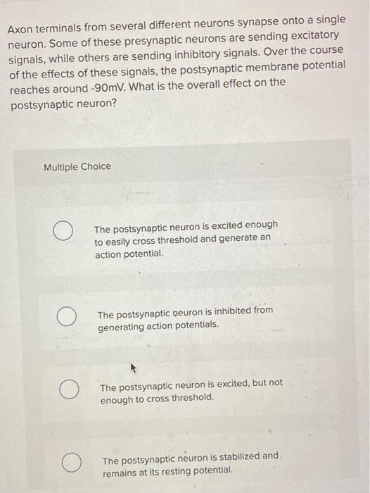 Solved Axon terminals from several different neurons synapse | Chegg.com