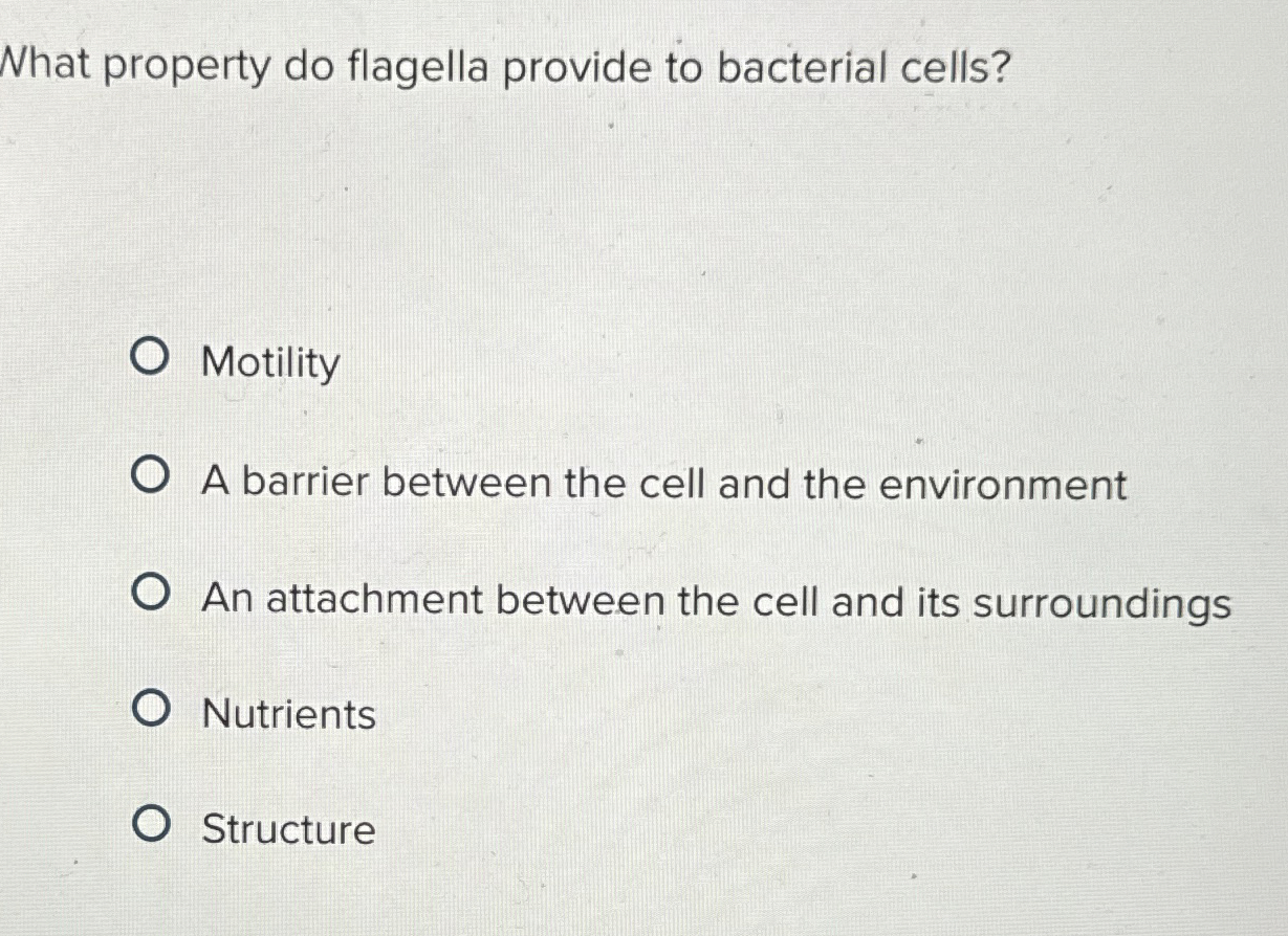 Solved What property do flagella provide to bacterial | Chegg.com