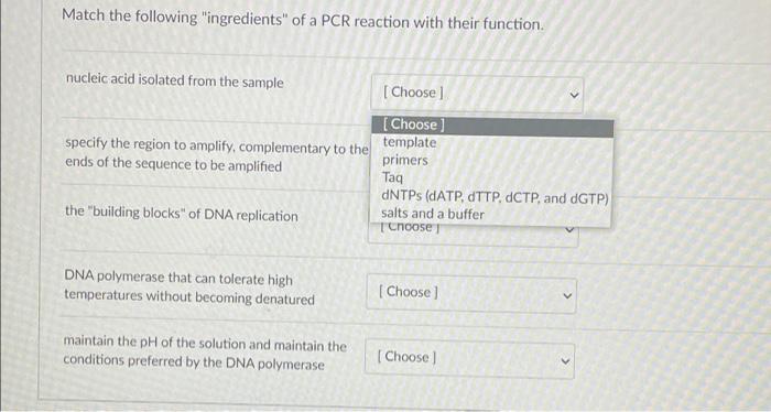 Solved Match the following "ingredients" of a PCR reaction | Chegg.com
