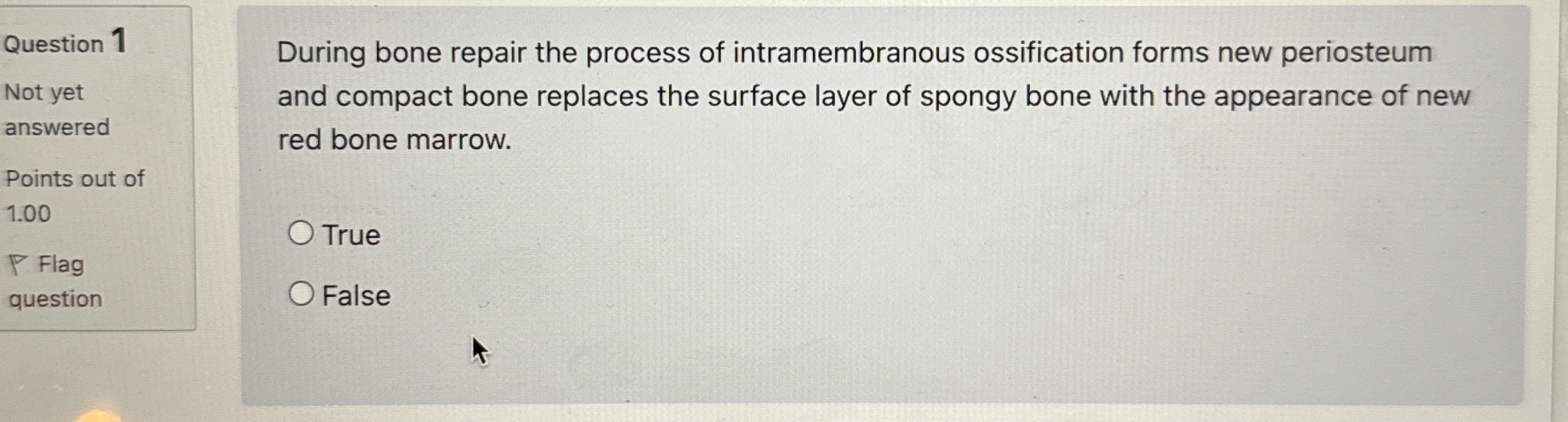 Solved During bone repair the process of intramembranous | Chegg.com