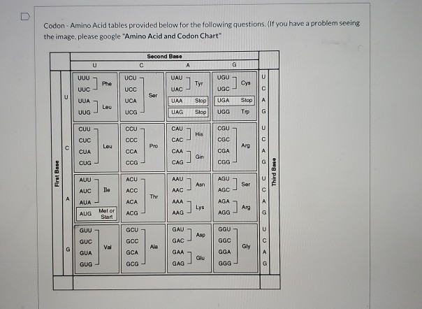 Solved Question 6 2 pts What is the codon sequence for the | Chegg.com