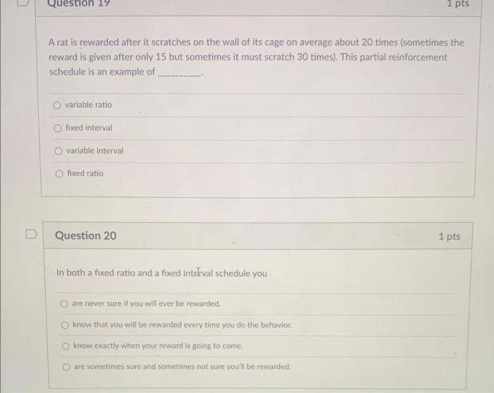 Solved A rat is rewarded after it scratches on the wall of | Chegg.com