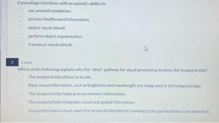 Solved Depth can be perceived with one eye for visual | Chegg.com