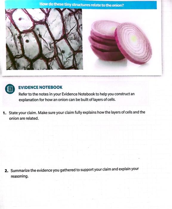 Solved EVIDENCE NOTEBOOK Refer to the notes in your Evidence | Chegg.com