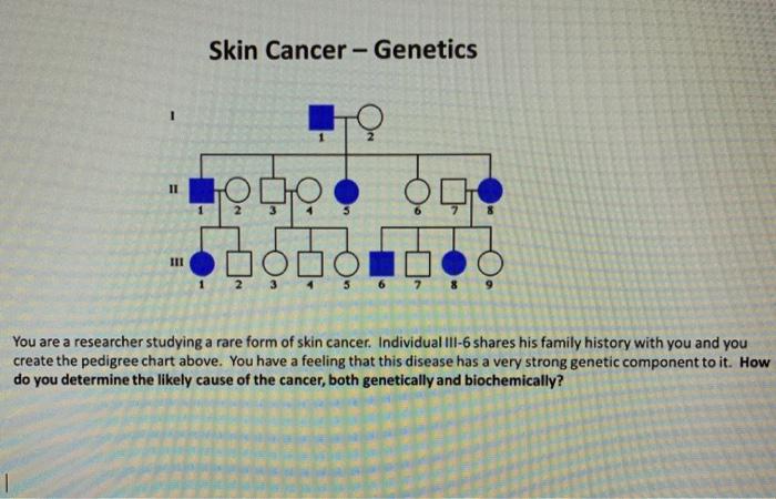 Solved Skin Cancer - Genetics 11 III 20 You are a researcher | Chegg.com