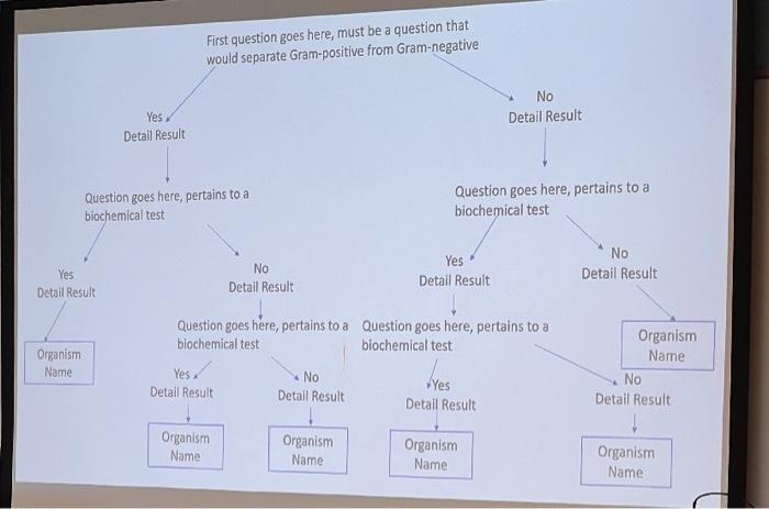 Solved Dichotomous Key Flowchart - Common Mistakes - All | Chegg.com