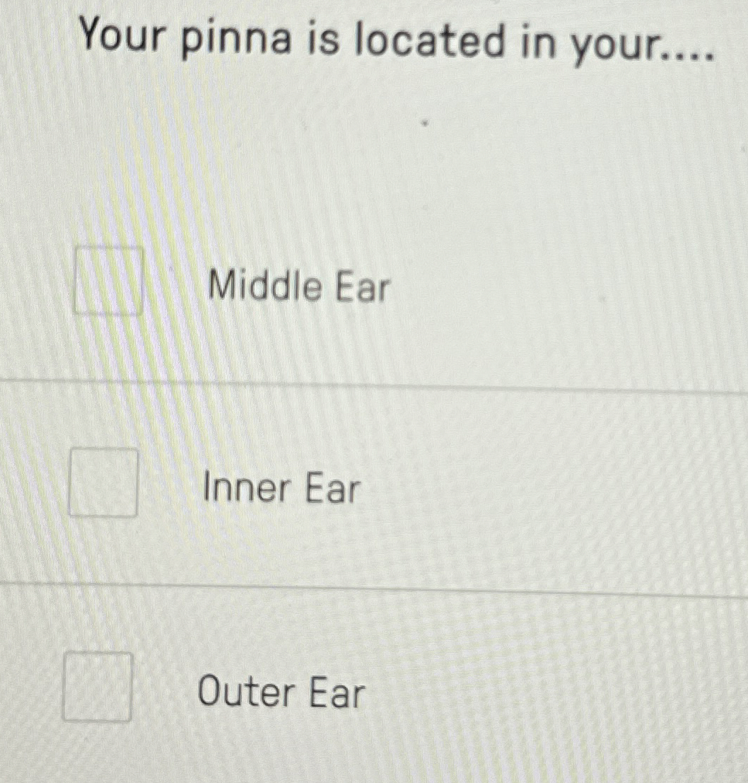 Solved Your pinna is located in your....Middle EarInner | Chegg.com