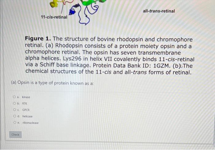 Solved big question help me out plzzz all one question | Chegg.com