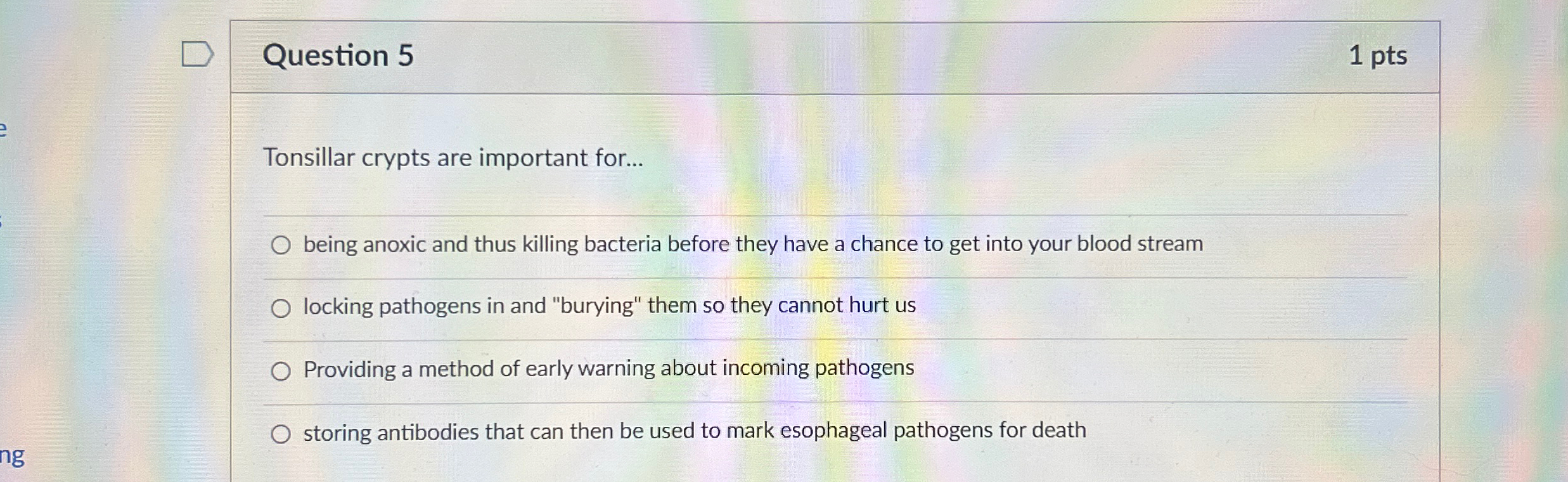 Solved Question 51 ﻿ptsTonsillar crypts are important | Chegg.com