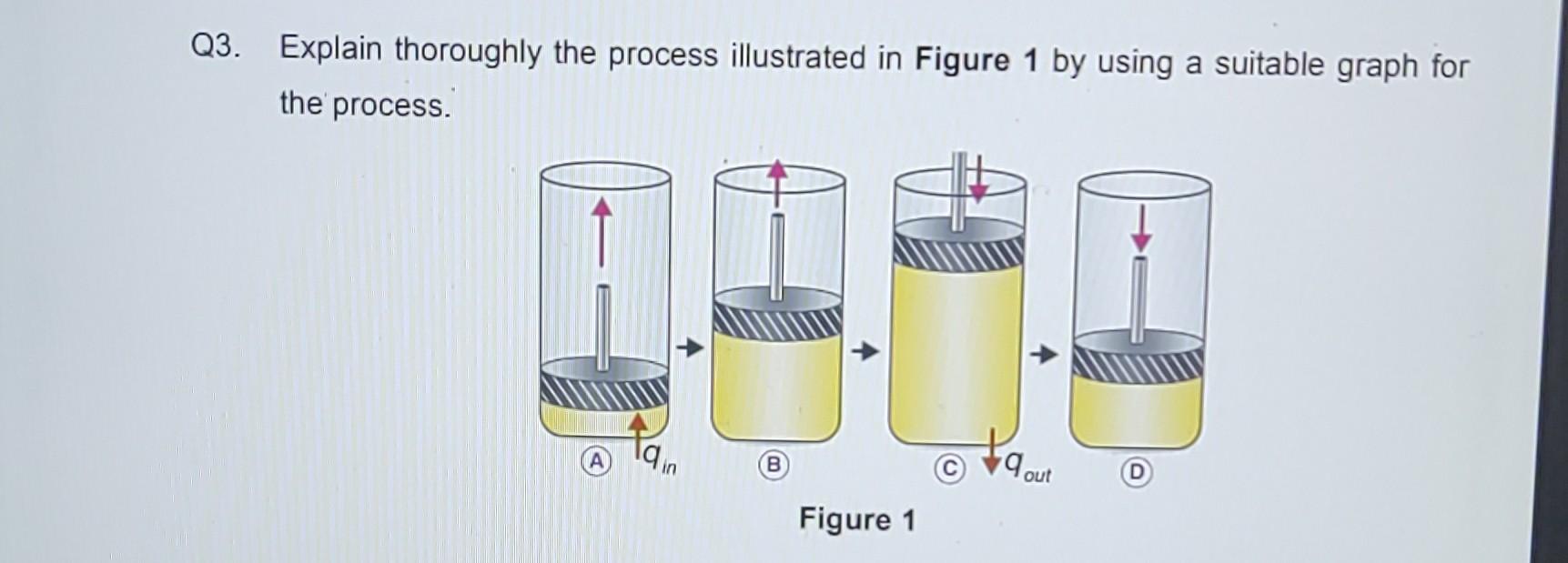 Solved 3. Explain thoroughly the process illustrated in | Chegg.com