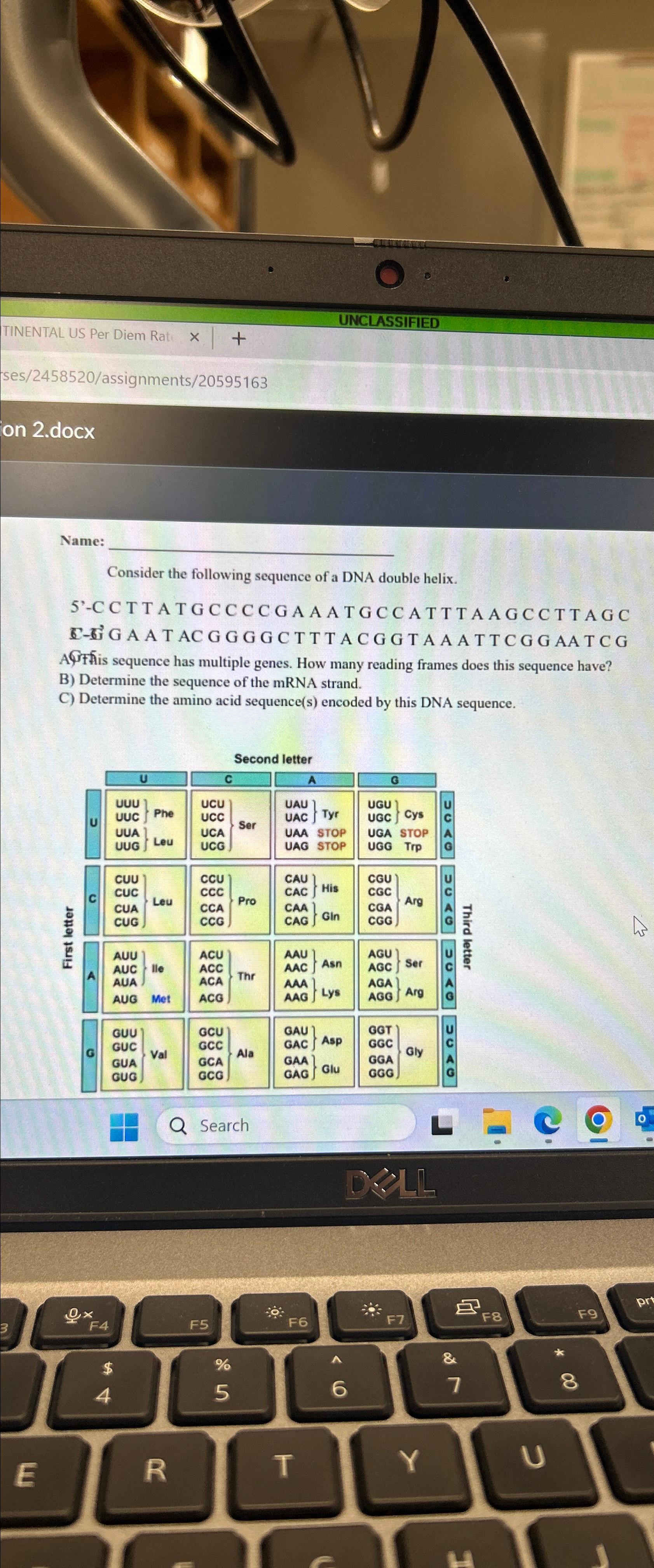 Solved Consider the following sequence of a DNA double helix | Chegg.com
