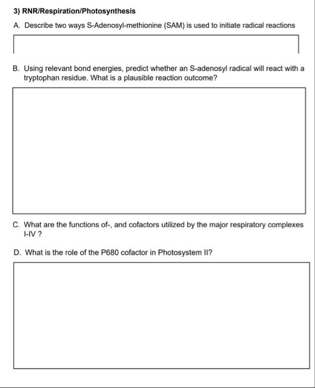 Solved RNR/Respiration/PhotosynthesisA. ﻿Describe two ways | Chegg.com