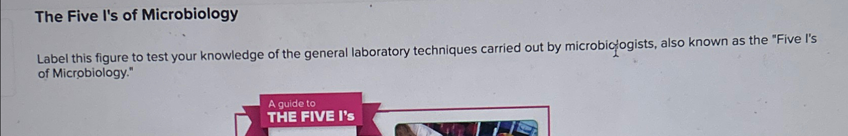 Solved The Five I's of MicrobiologyLabel this figure to test | Chegg.com